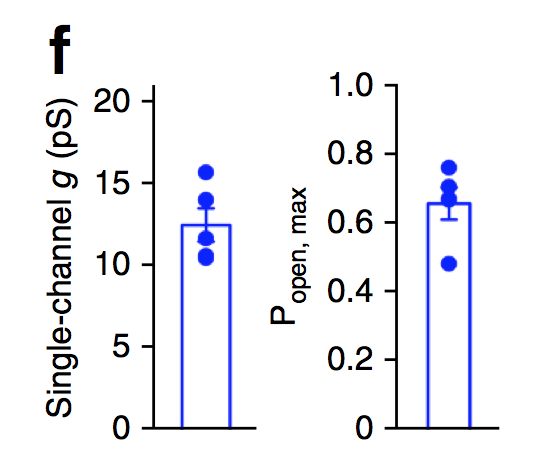 how to do category plot when I have different value number in each group?