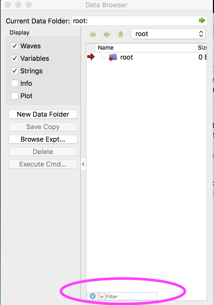 Igor Pro 7 Data Browser New Features
