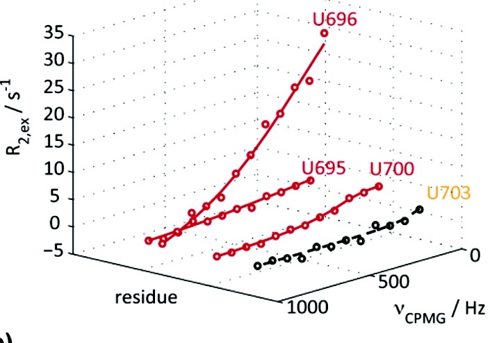 Multiple path plots in 3D