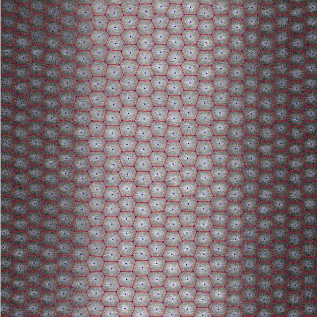 Create masks that partition an image from a voronoi tesselation