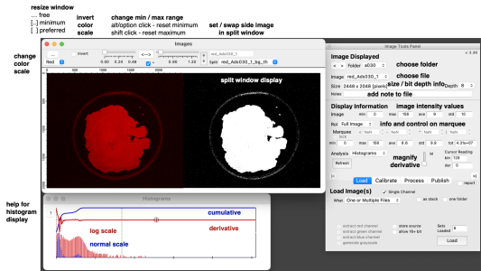 Image Tools | Igor Pro by WaveMetrics